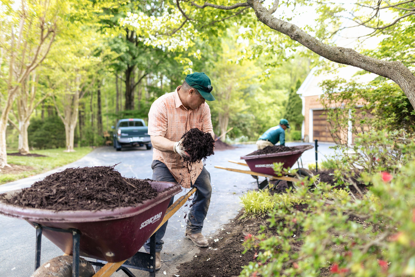 Arloington, VA Landscape Improvements for the New Year