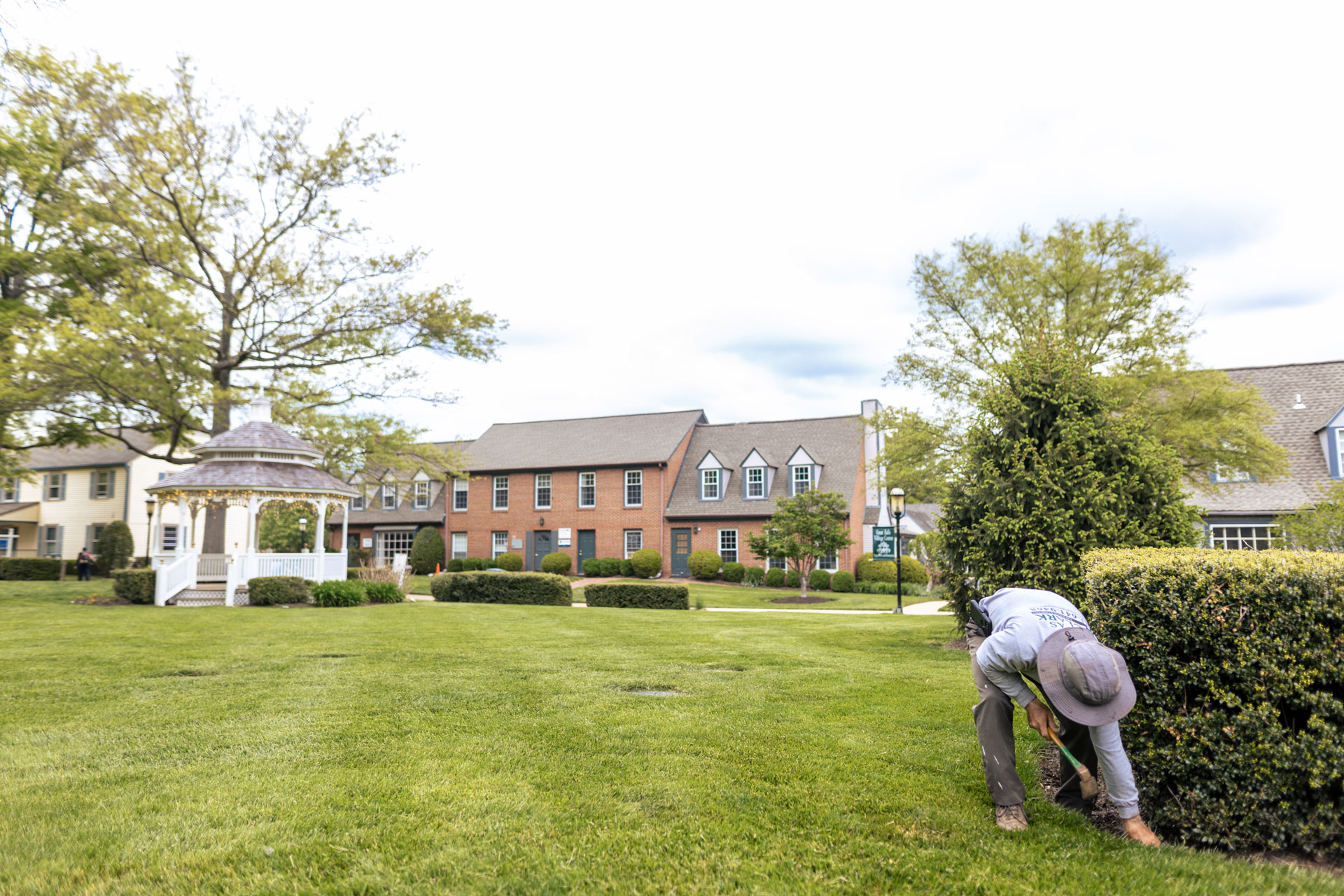 The Importance of Tree Removal and Brush Clean Up